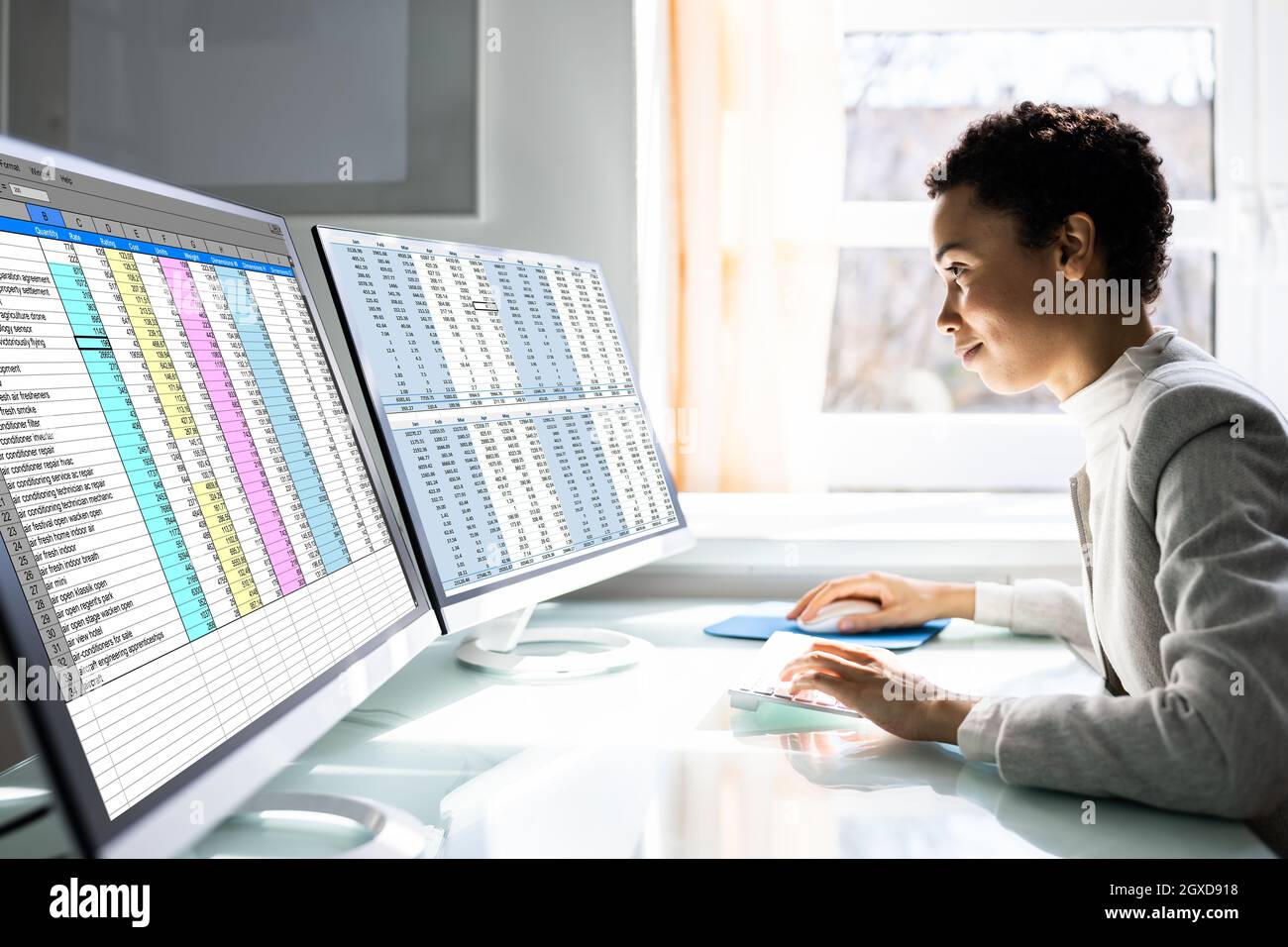 Computer Spreadsheet Data Analyst Woman Using Multiple Screens Stock ...