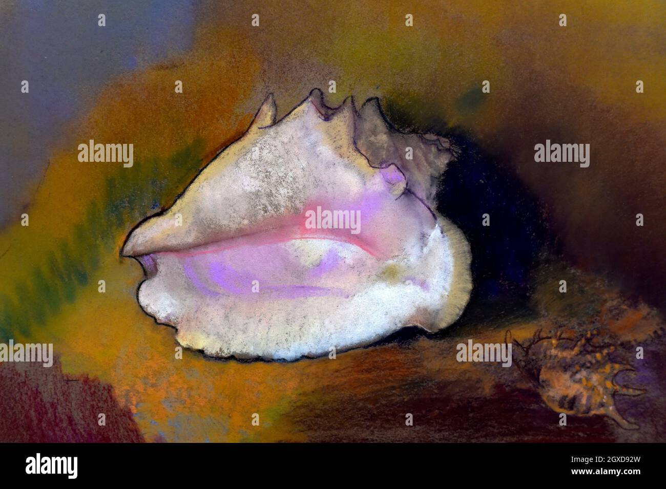 Seashell art hi-res stock photography and images - Alamy