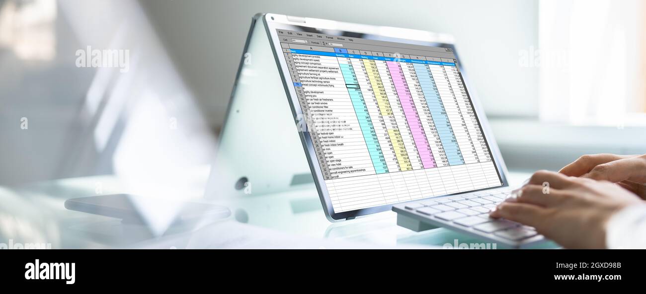 Financial Spreadsheet Analyst Woman Using Software On Laptop Stock Photo - Alamy