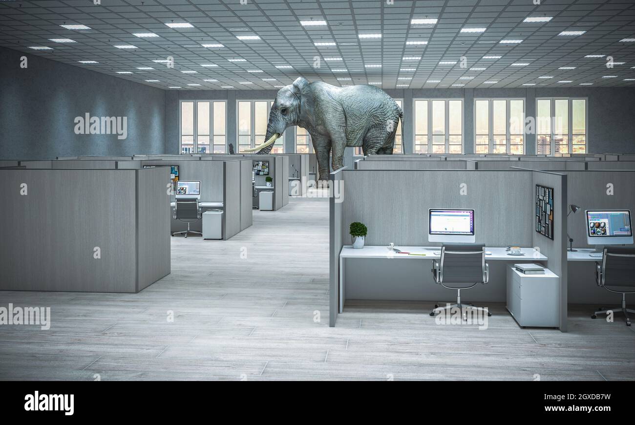 elephant inside a modern office. 3d render Stock Photo - Alamy