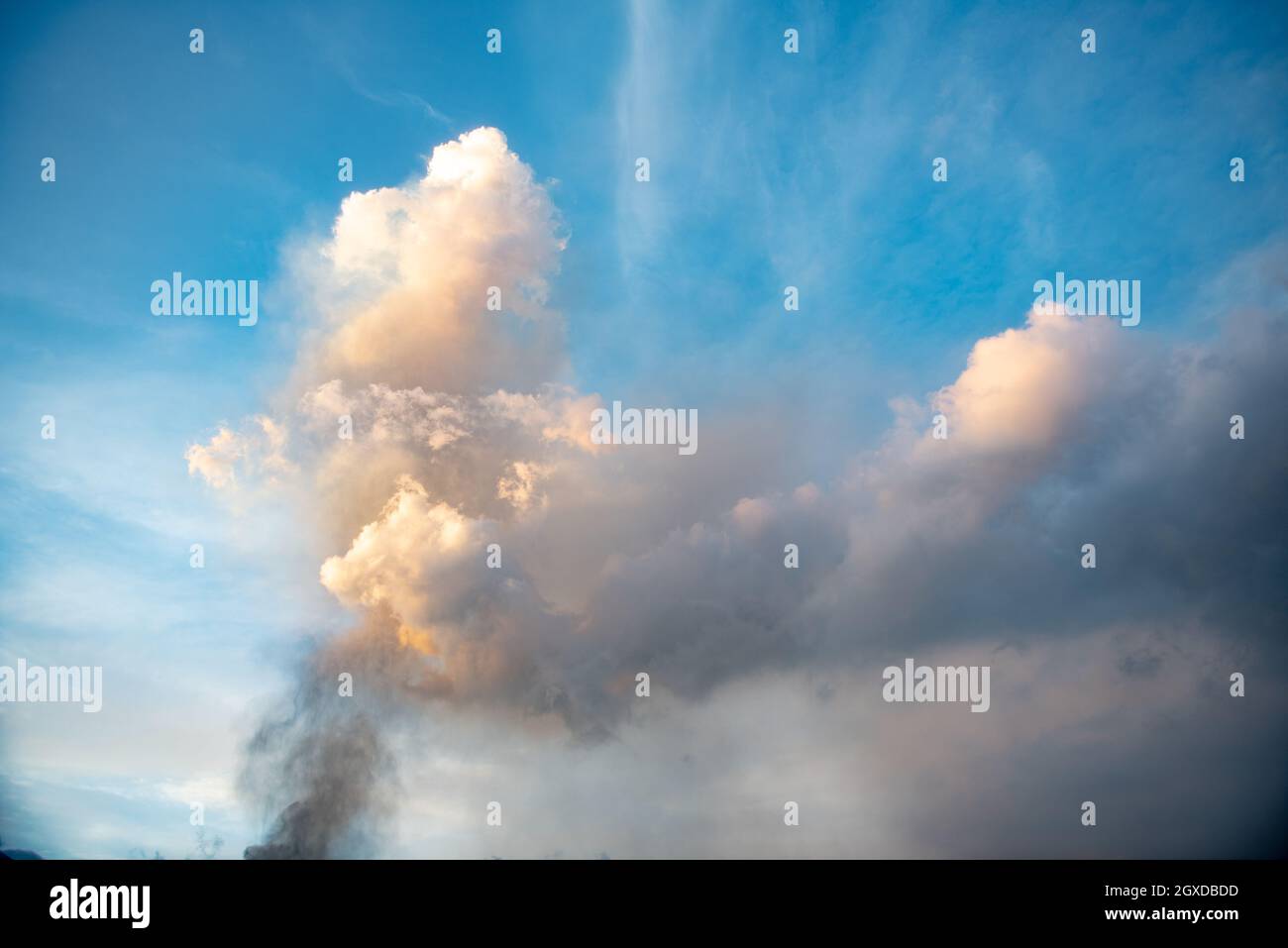 Column of smoke pouring out of the crater. Cumbre Vieja volcanic ...