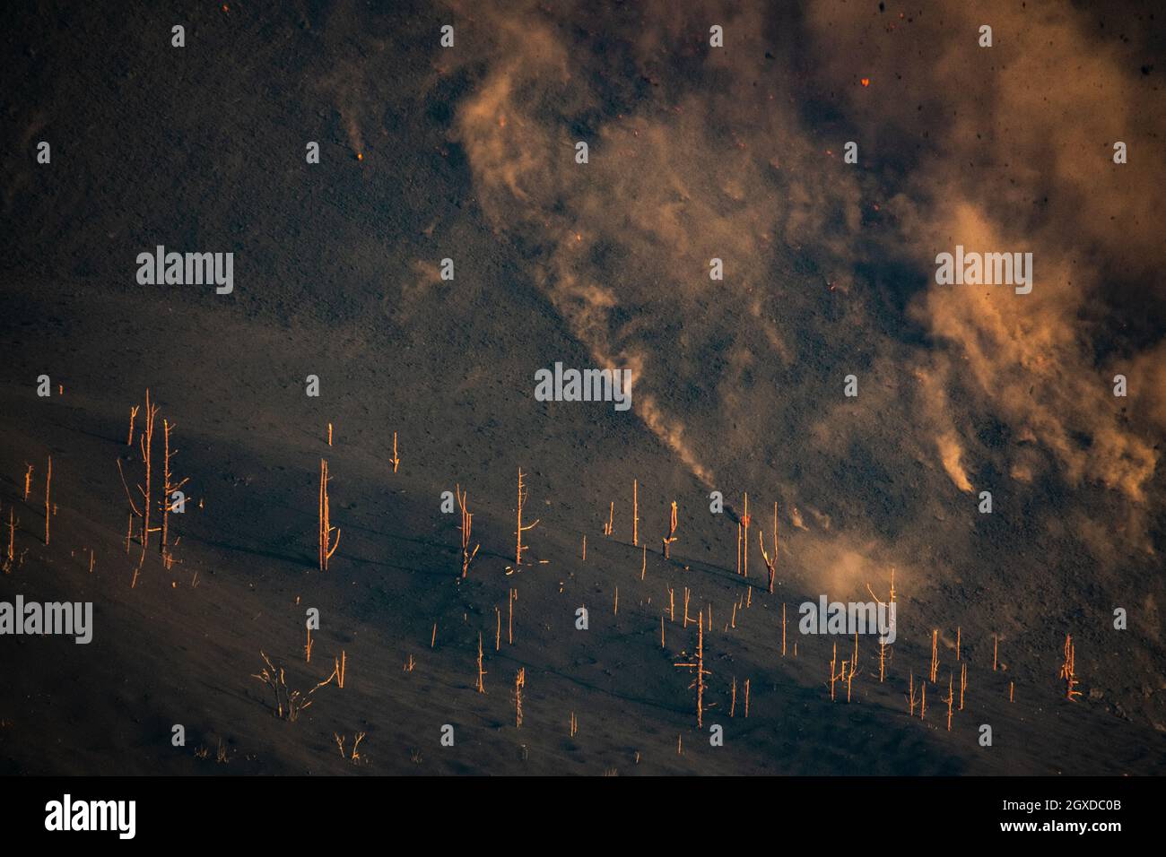 Lava explosions of the crater near the forest. Cumbre Vieja volcanic ...