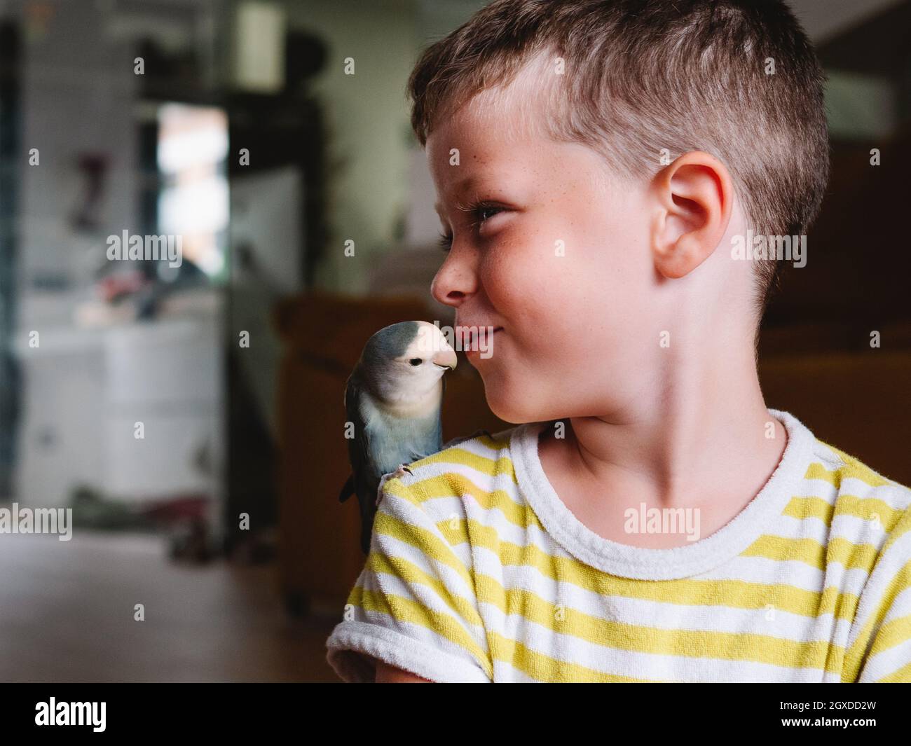 Crop positive boy with small gray feathered bird sitting on shoulder ...