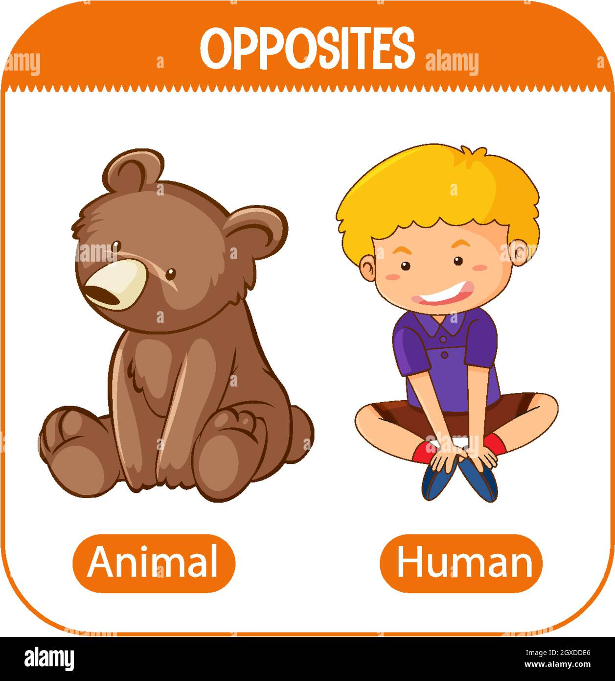 Opposite words with animal and human illustration Stock Vector Image ...
