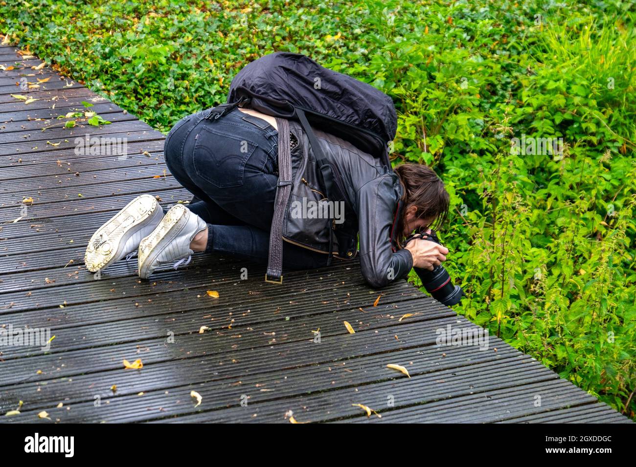 Old woman bent over hi-res stock photography and images - Alamy