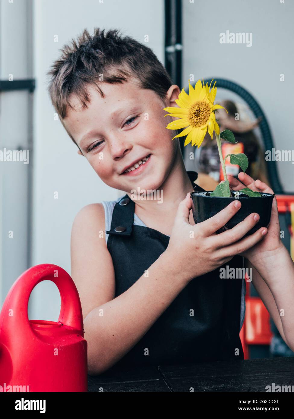 Boy with sunflower hi-res stock photography and images - Alamy
