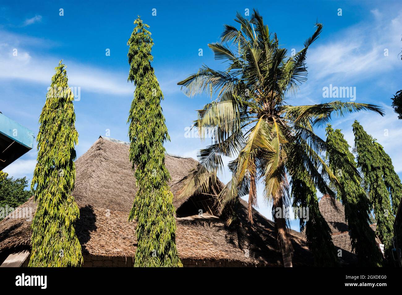 Mombasa county hi-res stock photography and images - Alamy