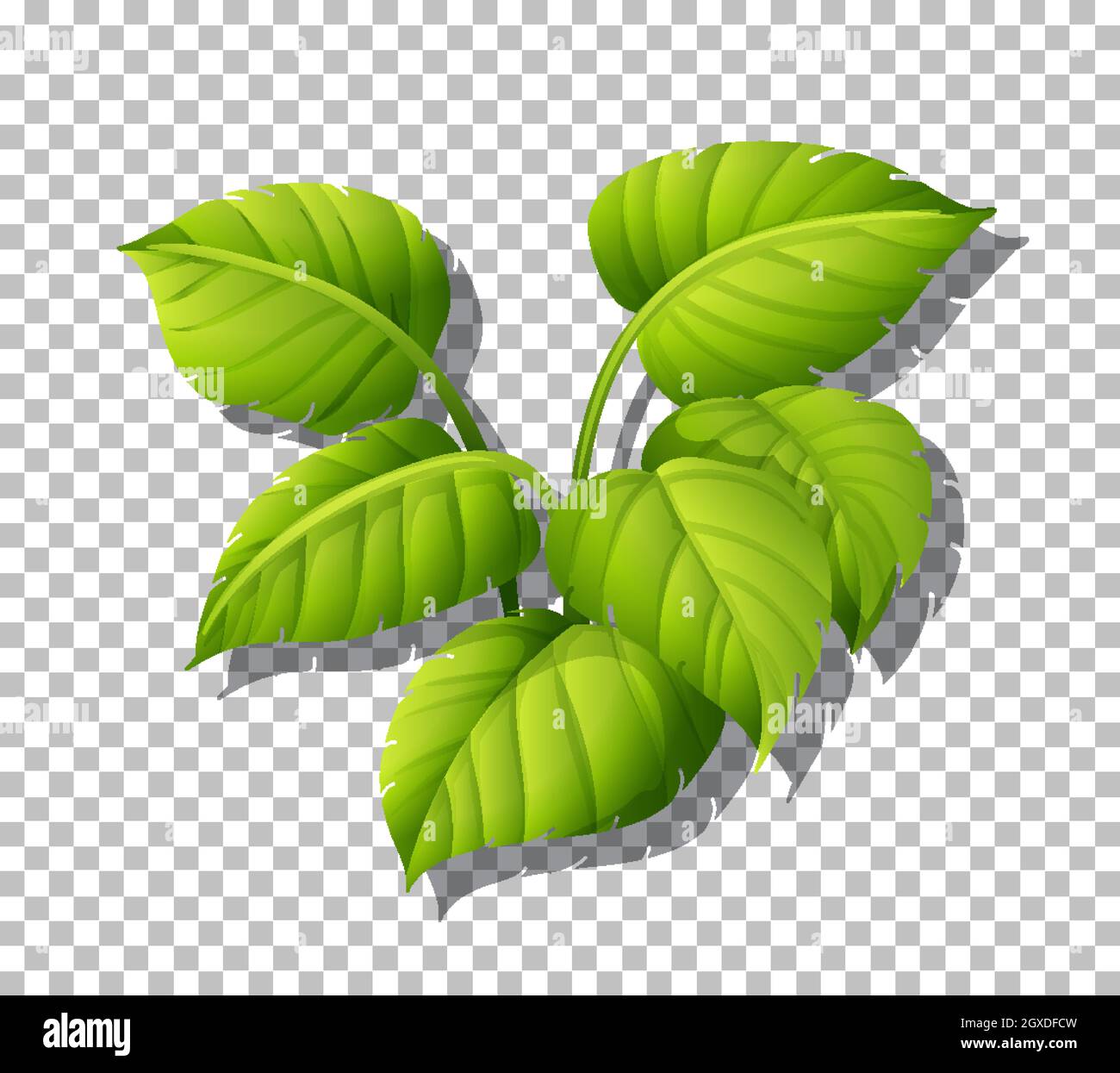 Tropical plant on transparent background illustration Stock Vector ...
