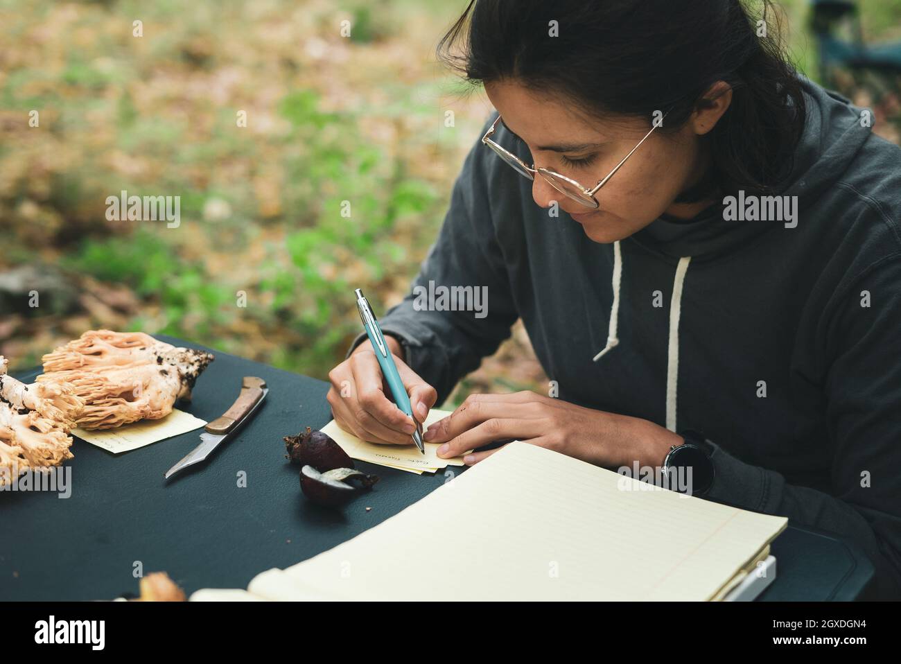 Focused female mycologist writing on paper sheet name of Boletus ...