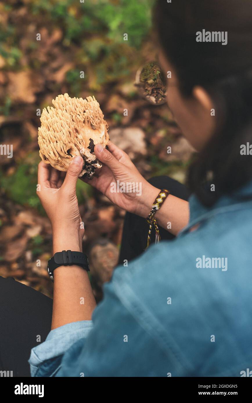 From above cropped unrecognizable female mycologist taking off dirt ...