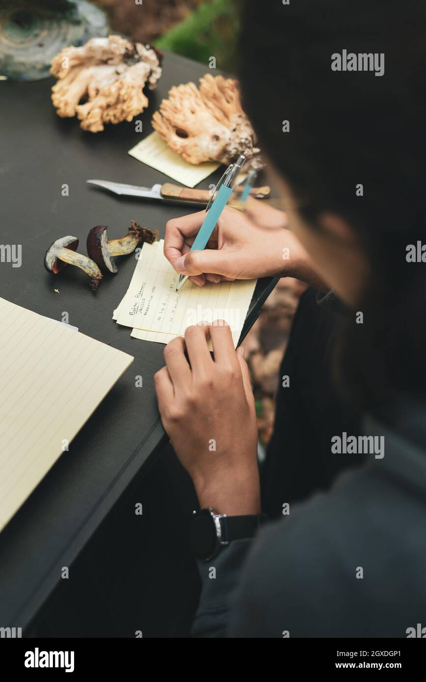 Mycologist High Resolution Stock Photography and Images - Alamy