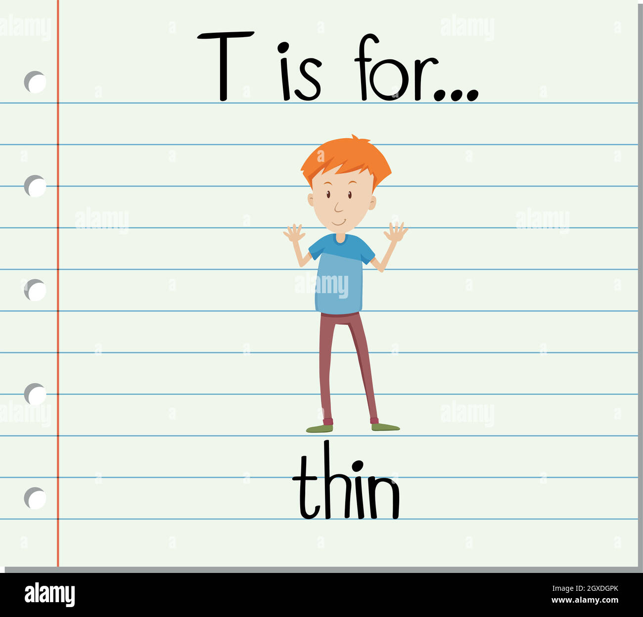 Flashcard letter T is for thin Stock Vector Image & Art - Alamy