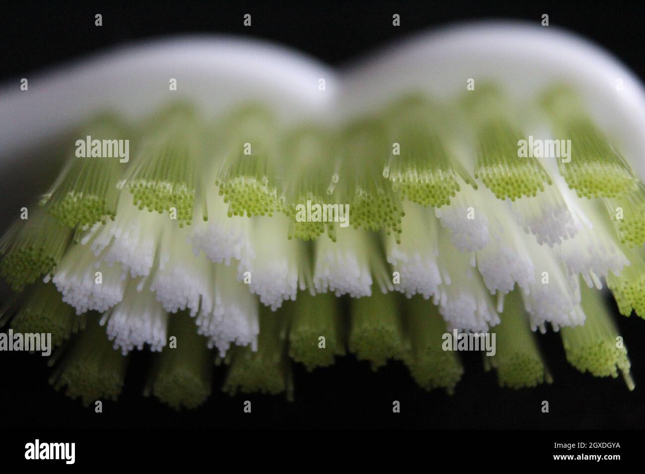 Mouth brush teeth toothpaste cleaning hygiene care Stock Photo - Alamy