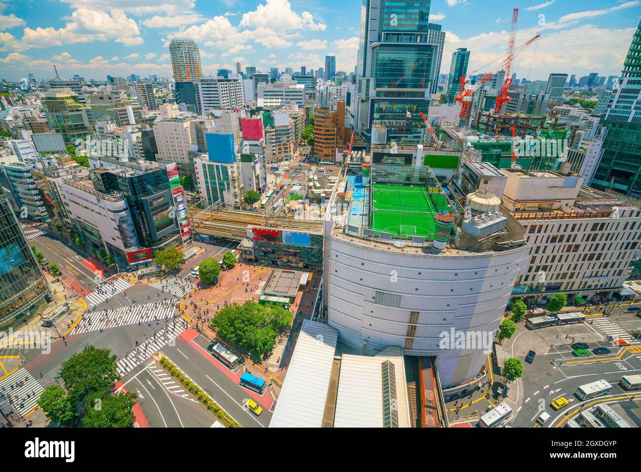 Shibuya Crossing from top view day time in Tokyo, Japan Stock Photo - Alamy