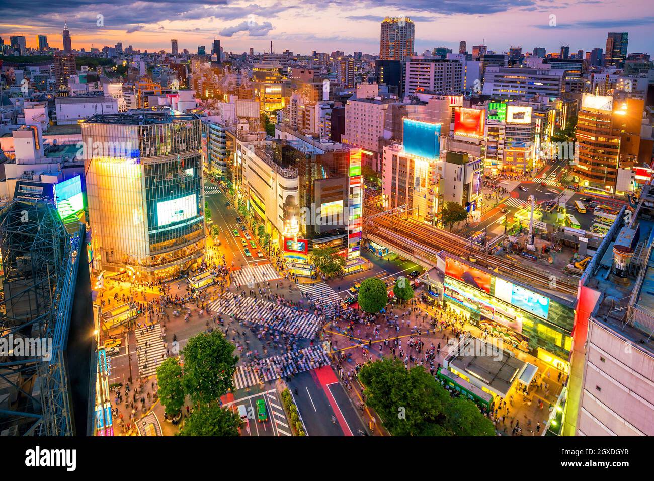 Shibuya Crossing from top view at twilight in Tokyo, Japan Stock Photo ...