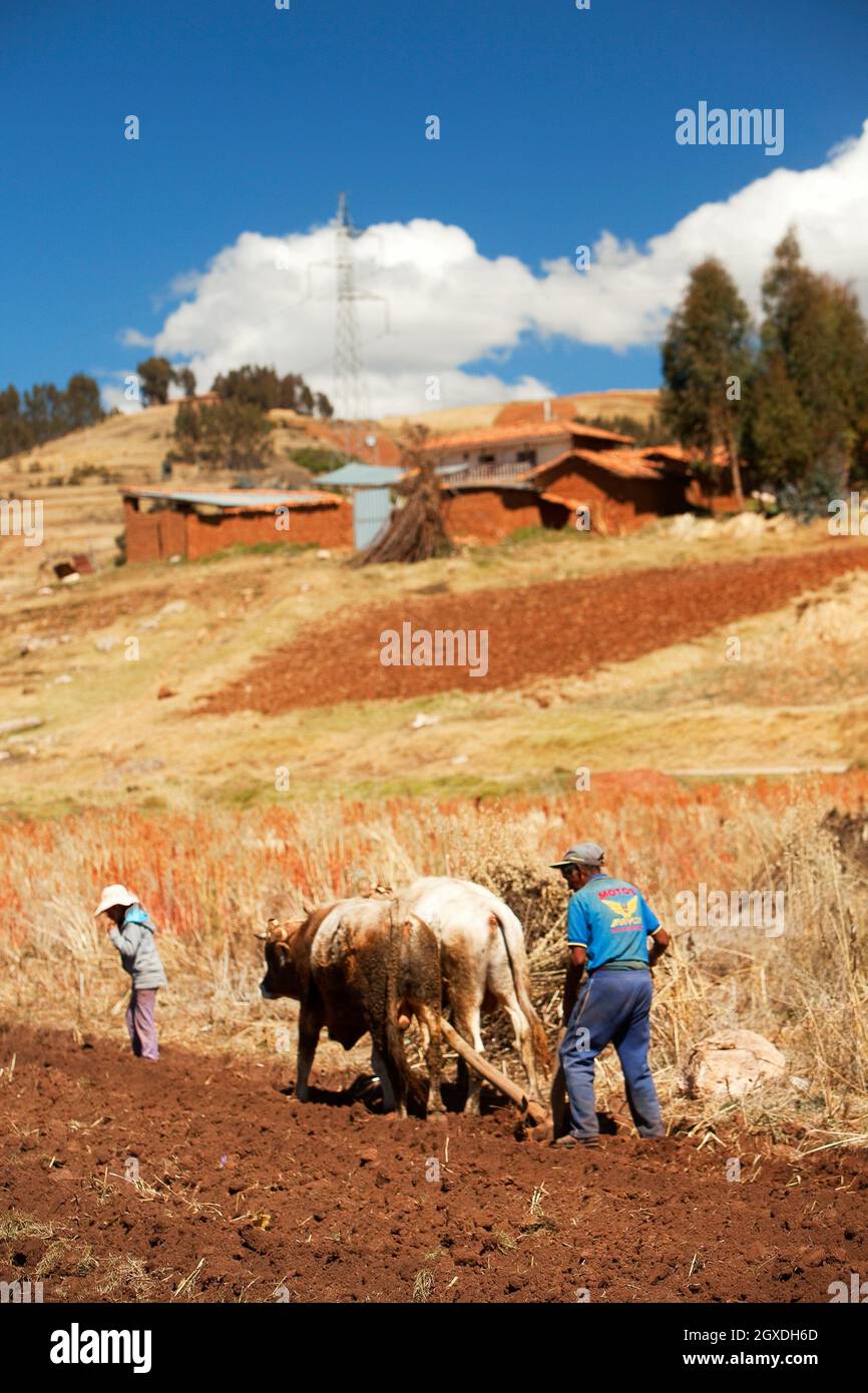 Agriculture with traditional method hi-res stock photography and images ...