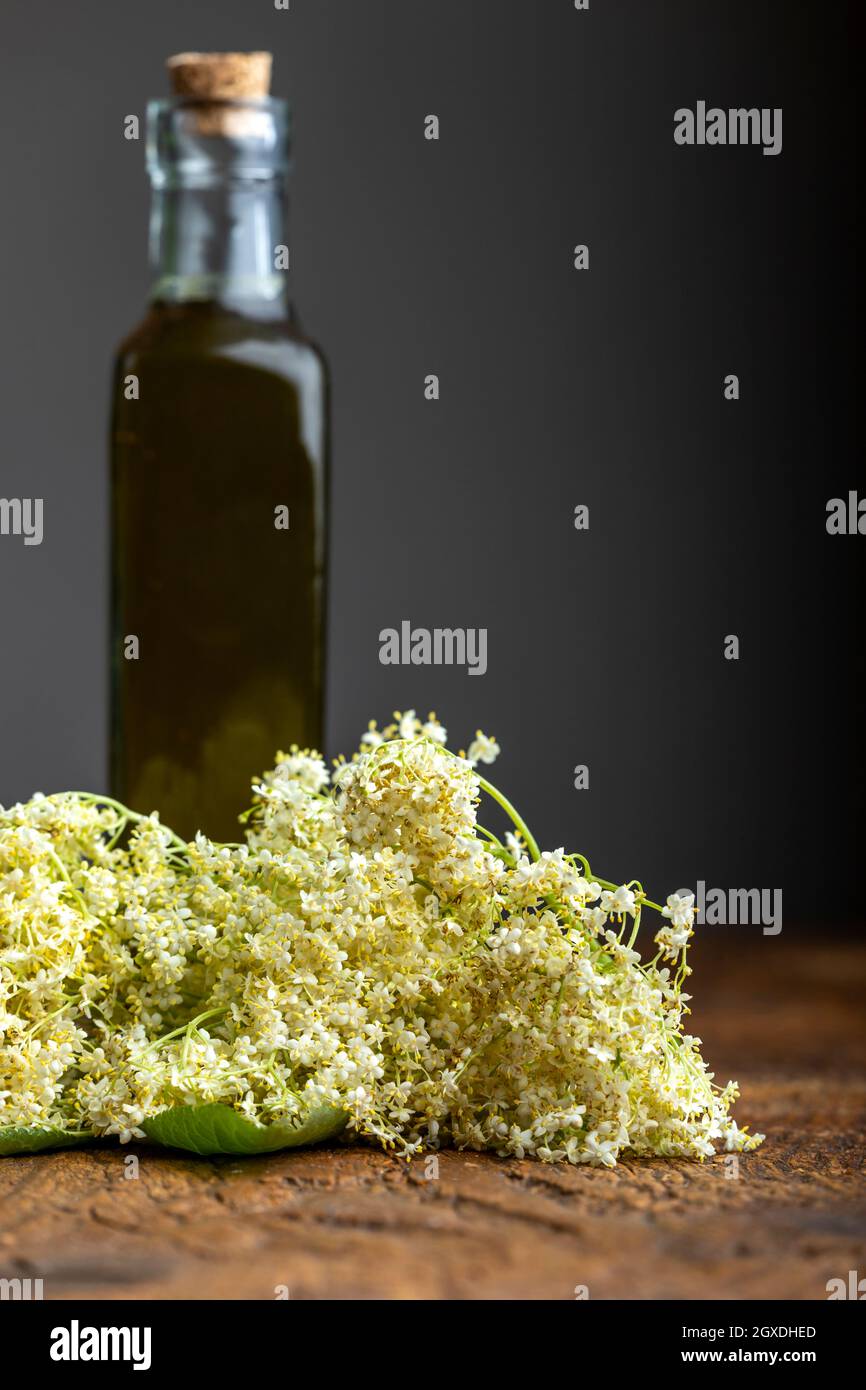 Hollunder hi-res stock photography and images - Alamy