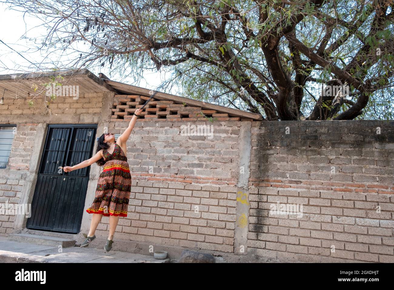 Woman collects fruits hi-res stock photography and images - Alamy