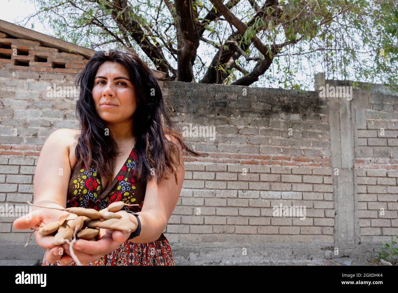 Tropical Fruits Of Mexico High Resolution Stock Photography and Images ...