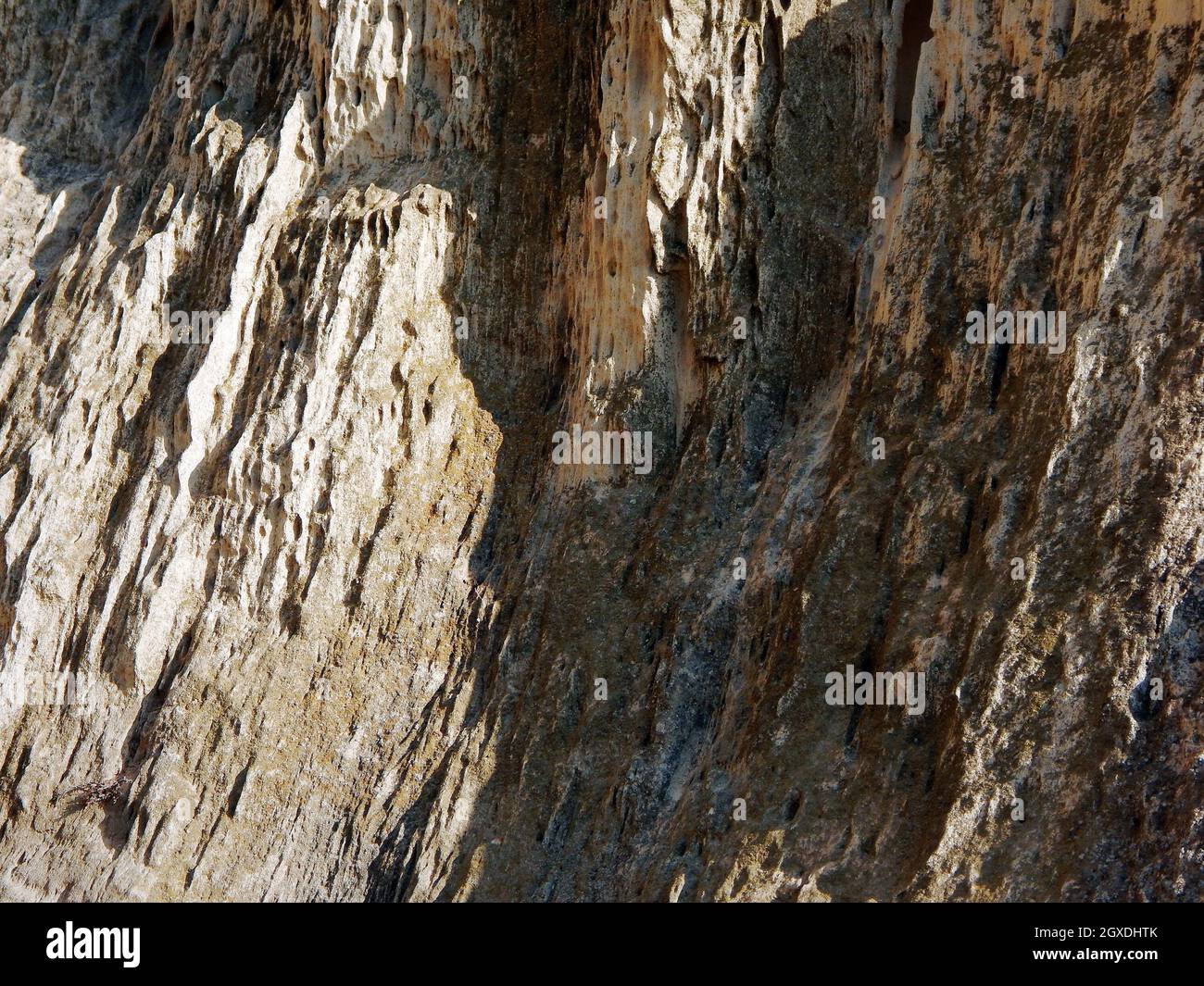 Surface sandy rock. Rocky shore of the Caspian Sea Stock Photo - Alamy
