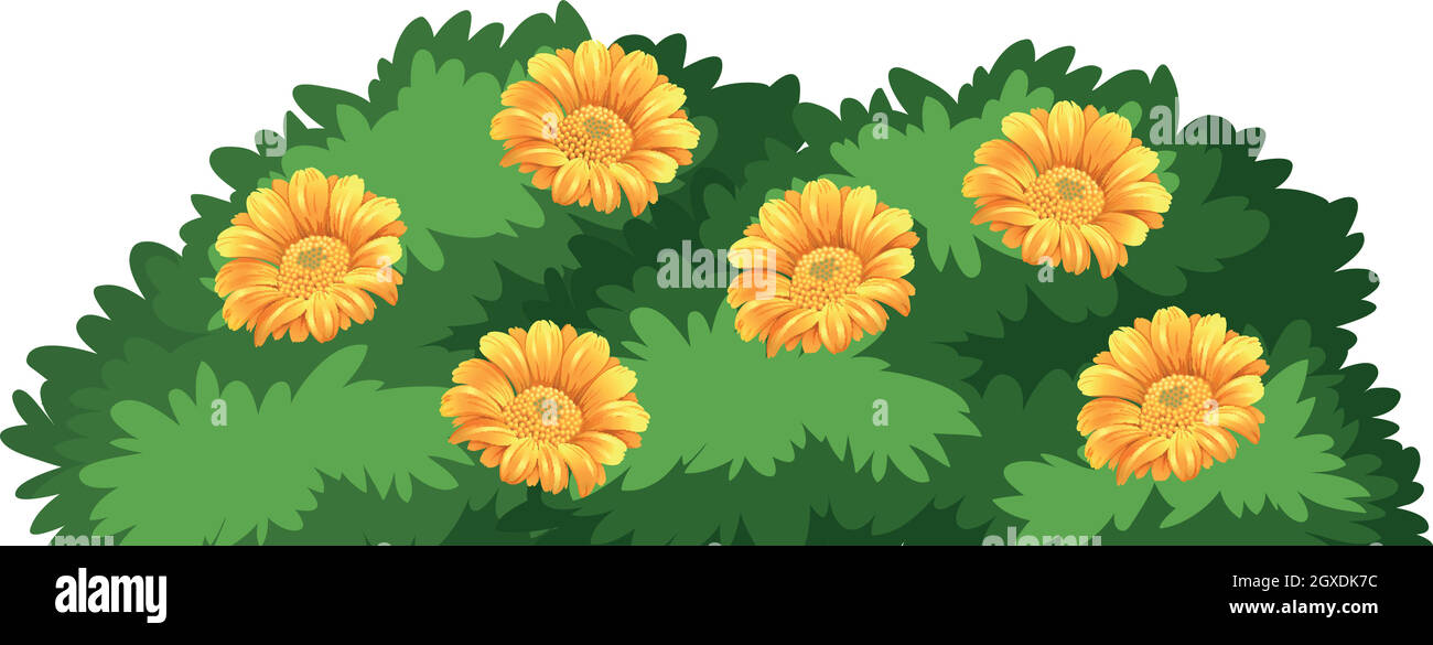 Garden bush flower Stock Vector Images - Alamy