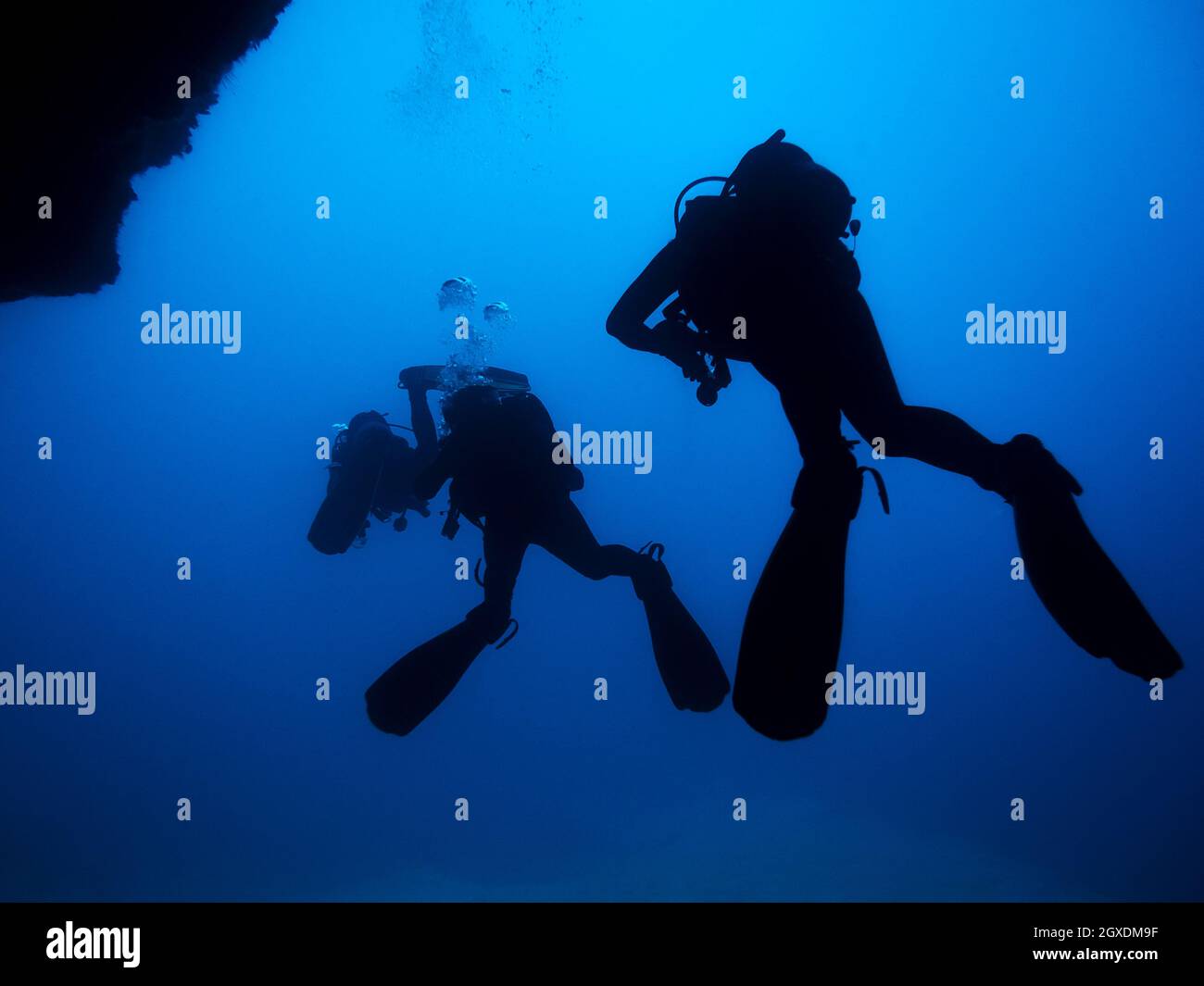 Back view of anonymous sportspeople silhouettes with diving equipment ...