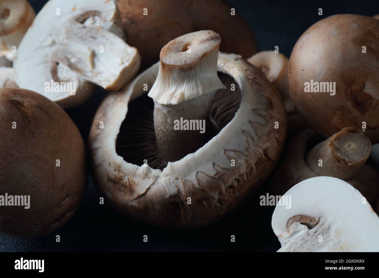 Fresh champignon mushrooms on black background Stock Photo - Alamy