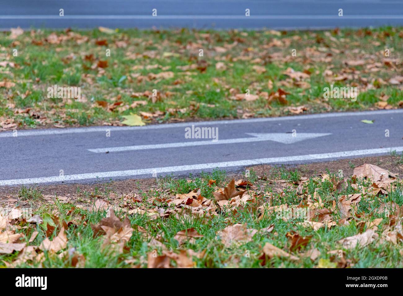 Empty bike path through hi-res stock photography and images - Alamy