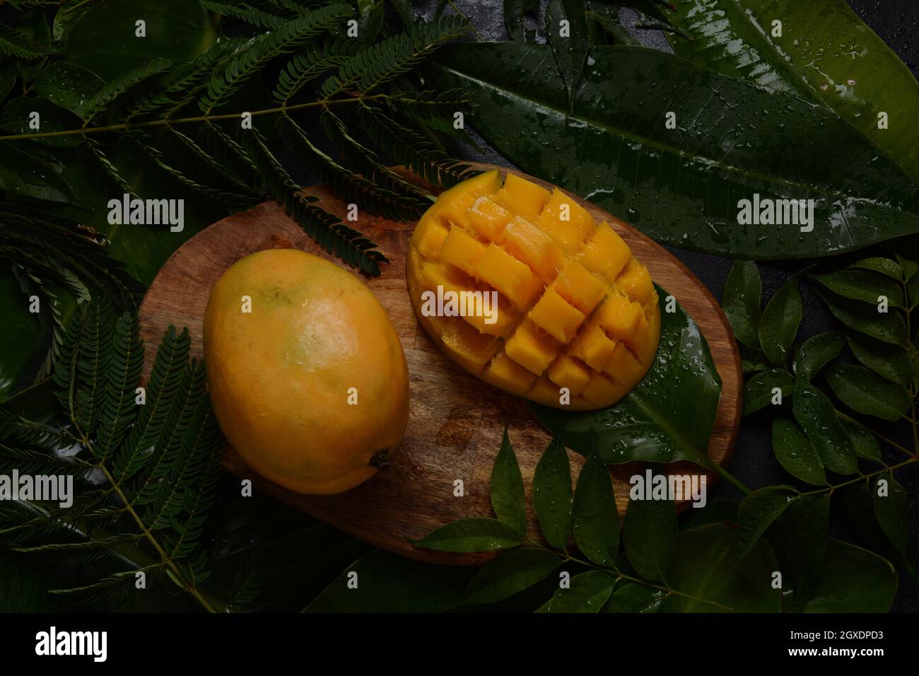 Fresh mango fruit with sliced diced mango chunks on a plate or on ...