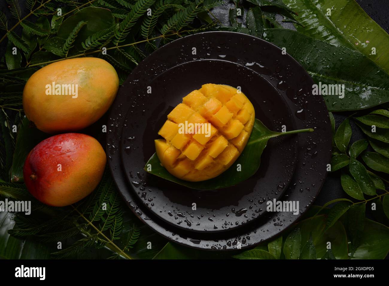 Fresh mango fruit with sliced diced mango chunks on a plate or on ...
