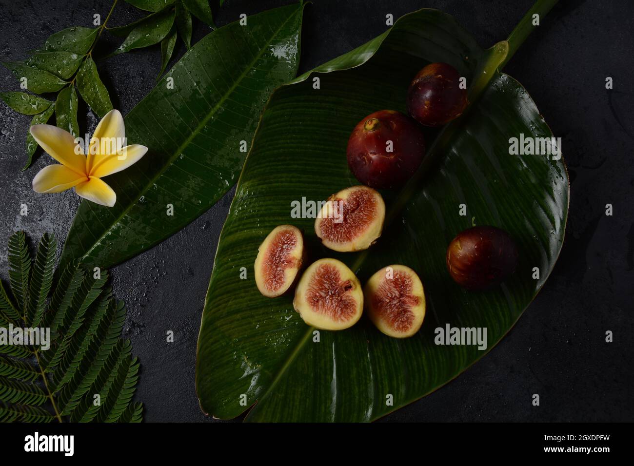 Raw fresh fig fruits on dark background. Slices of fresh common fig ...