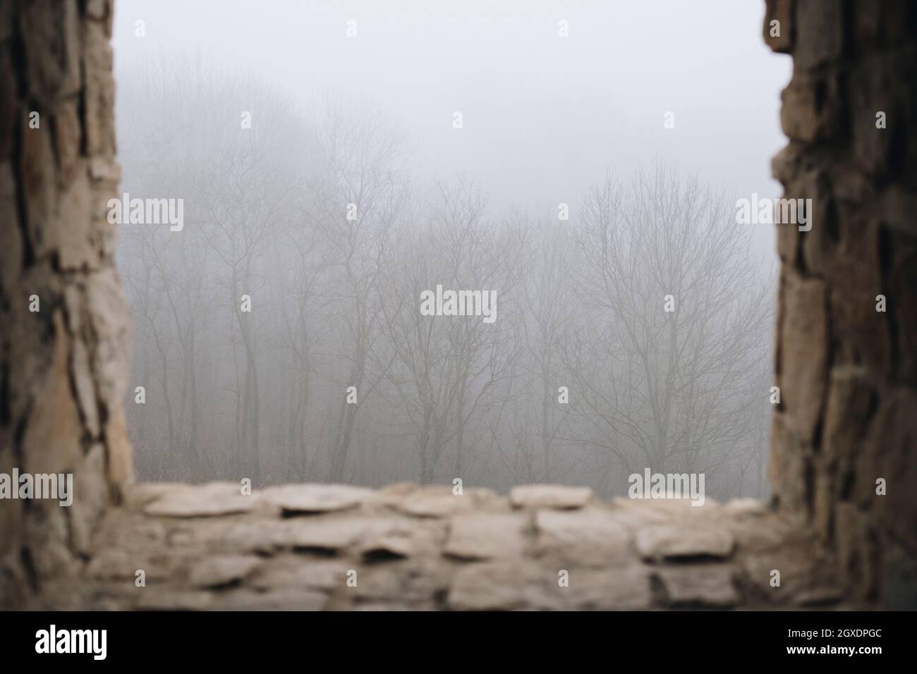 view from a castle window on trees hidden in a fog Stock Photo - Alamy
