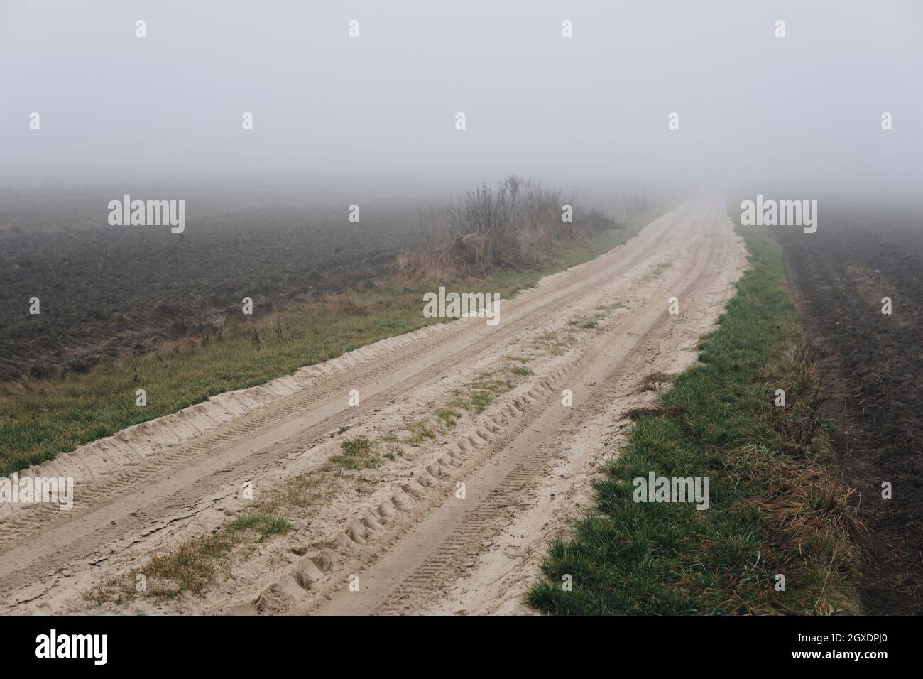 sandy ground path through a field in fall season hidden in a fog Stock ...