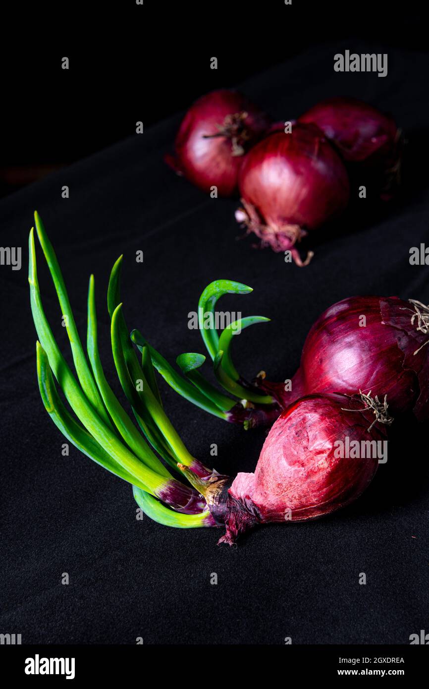 Red onions with green stems Stock Photo - Alamy