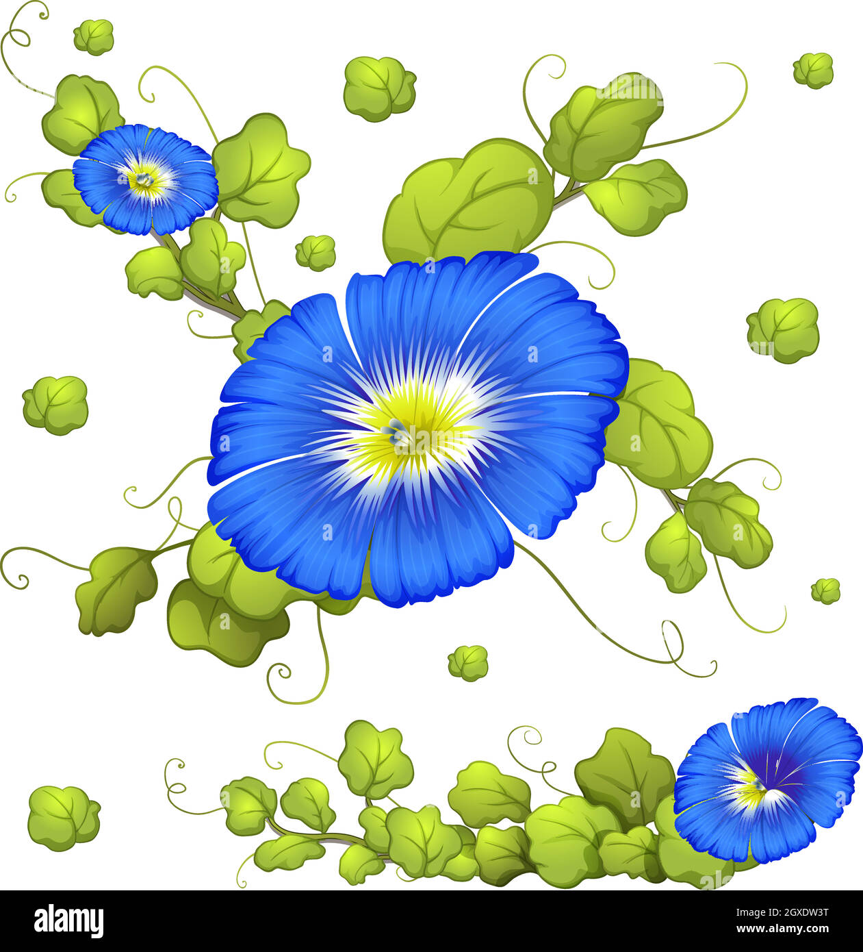 Morning Circle Clipart Backgrounds