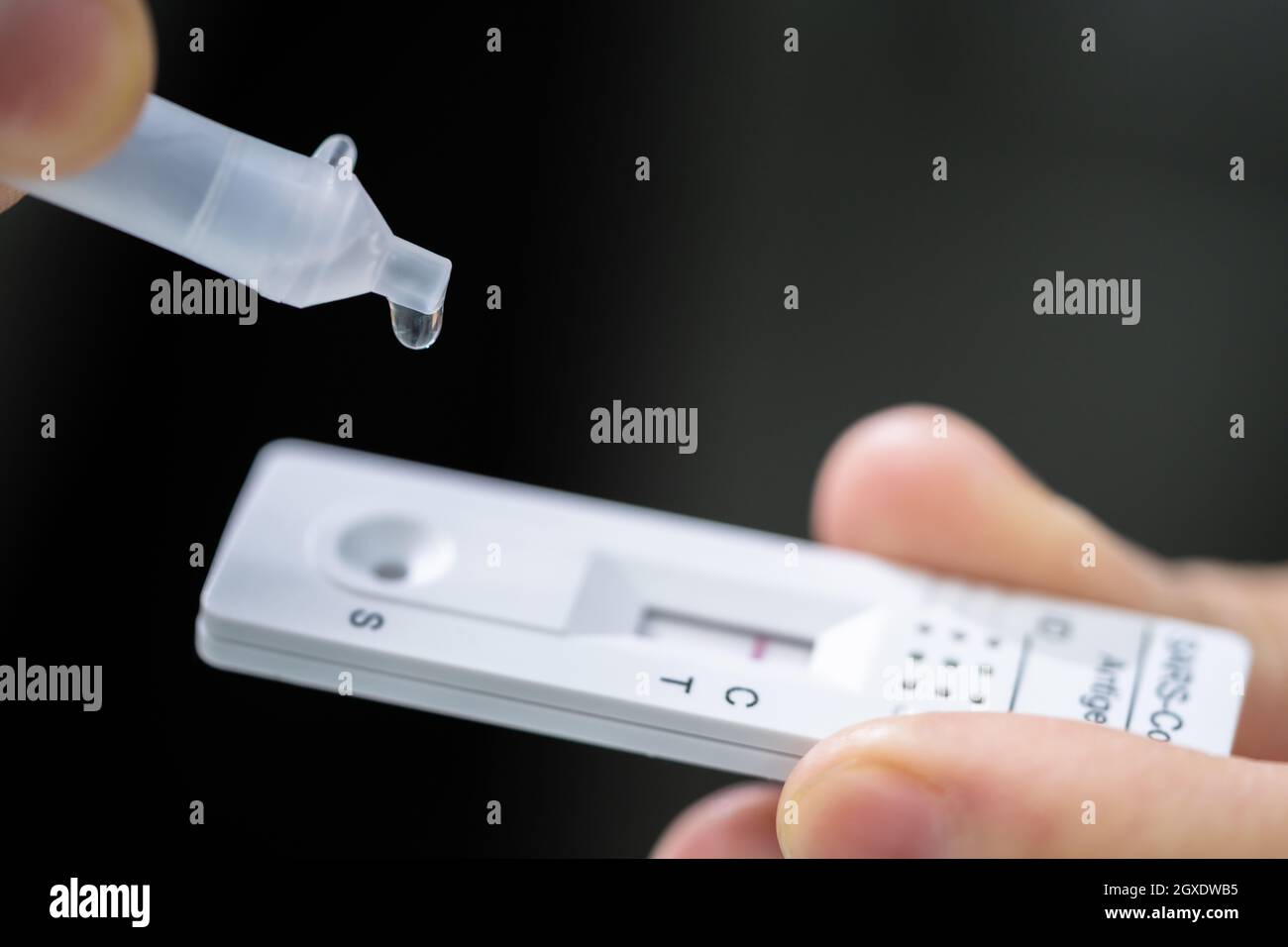 Coronavirus Antigen Virus Self Test Kit Close-Up Stock Photo - Alamy