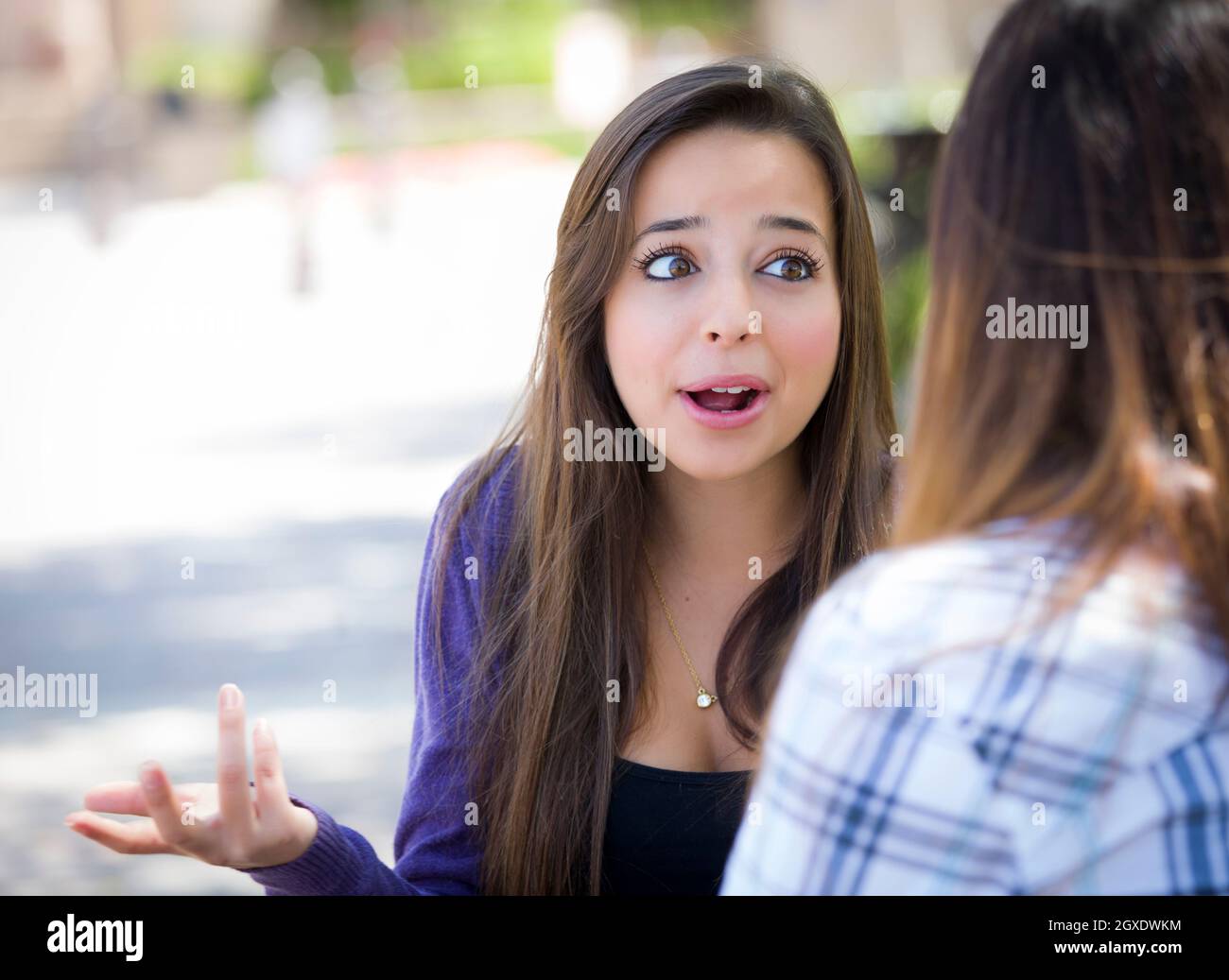 Attractive Expressive Young Mixed Race Female Student Sitting and ...
