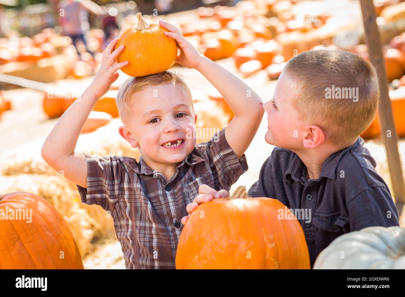 Boys on ranch hi-res stock photography and images - Alamy