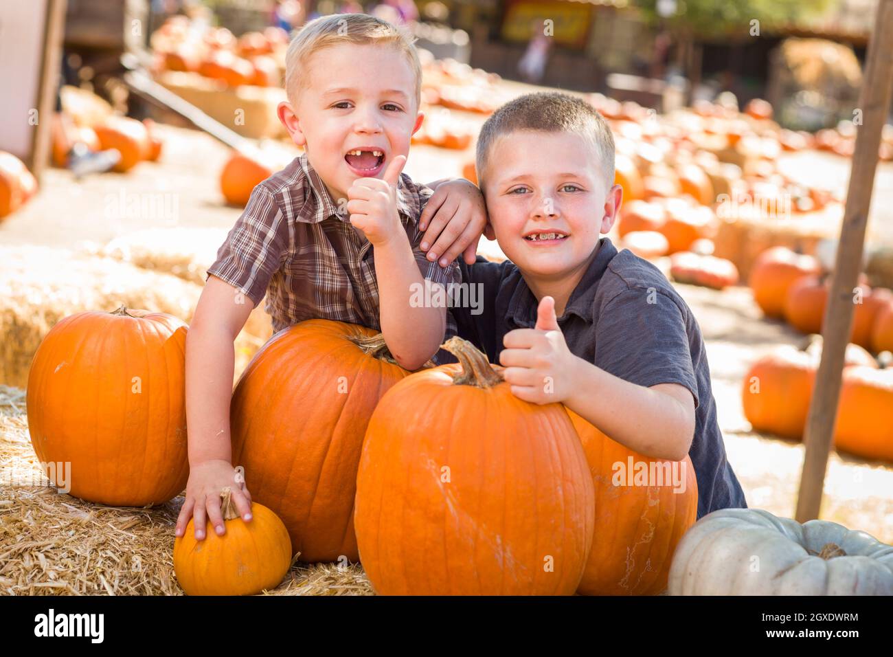 Two Boys at the Pumpkin Patch with Thumbs Up and Having Fun on a Fall ...