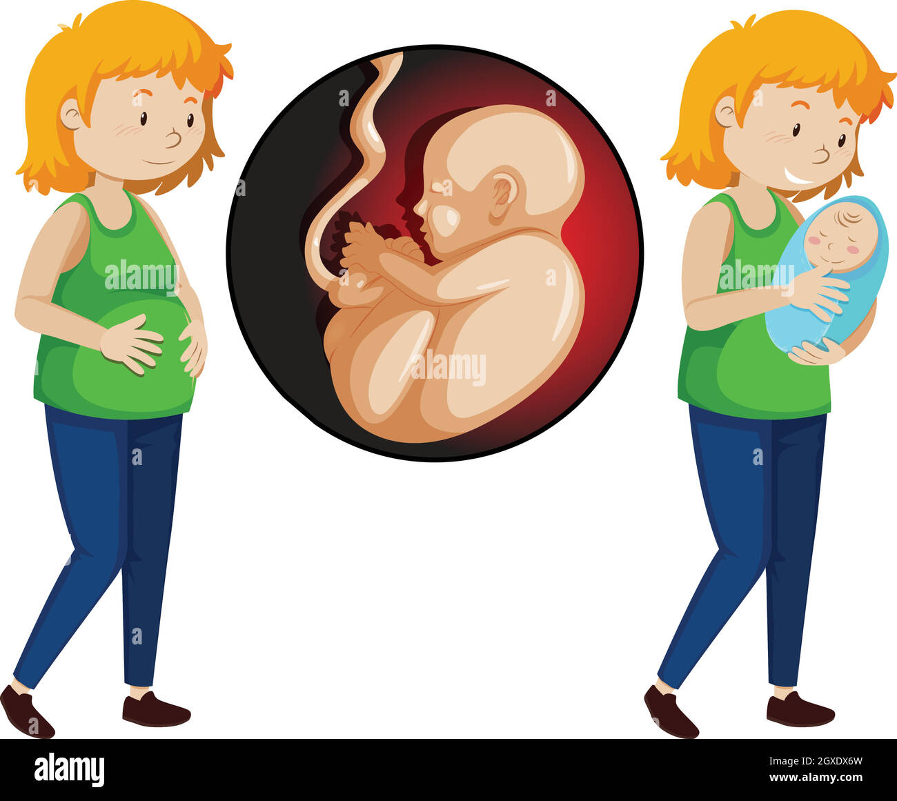 Expecting baby happy woman Stock Vector Images - Alamy