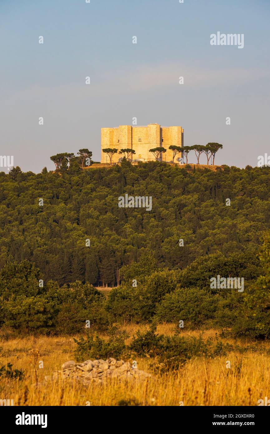 Castel del Monte, castle built in an octagonal shape by the Holy Roman ...