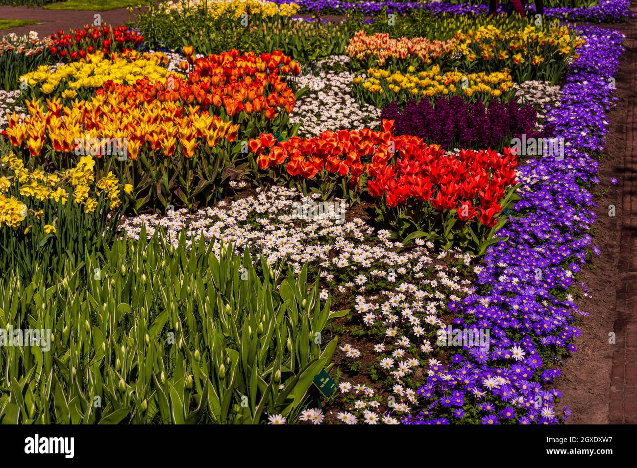 Colorful garden landscape and grassy lawn Stock Photo - Alamy