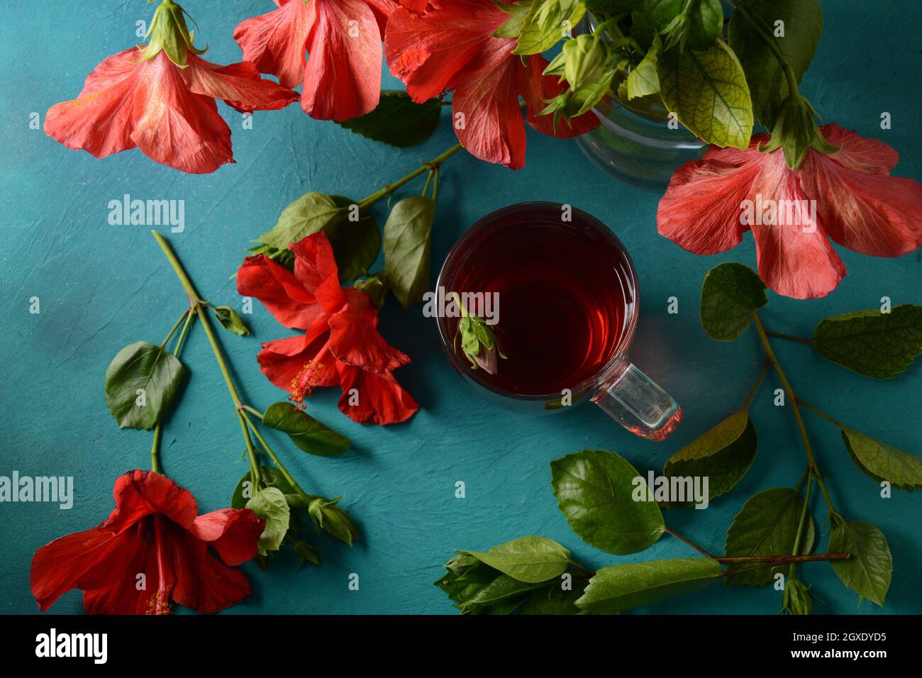 Hibiscus tea in a glass transparent teapot, and blossom flower Stock ...