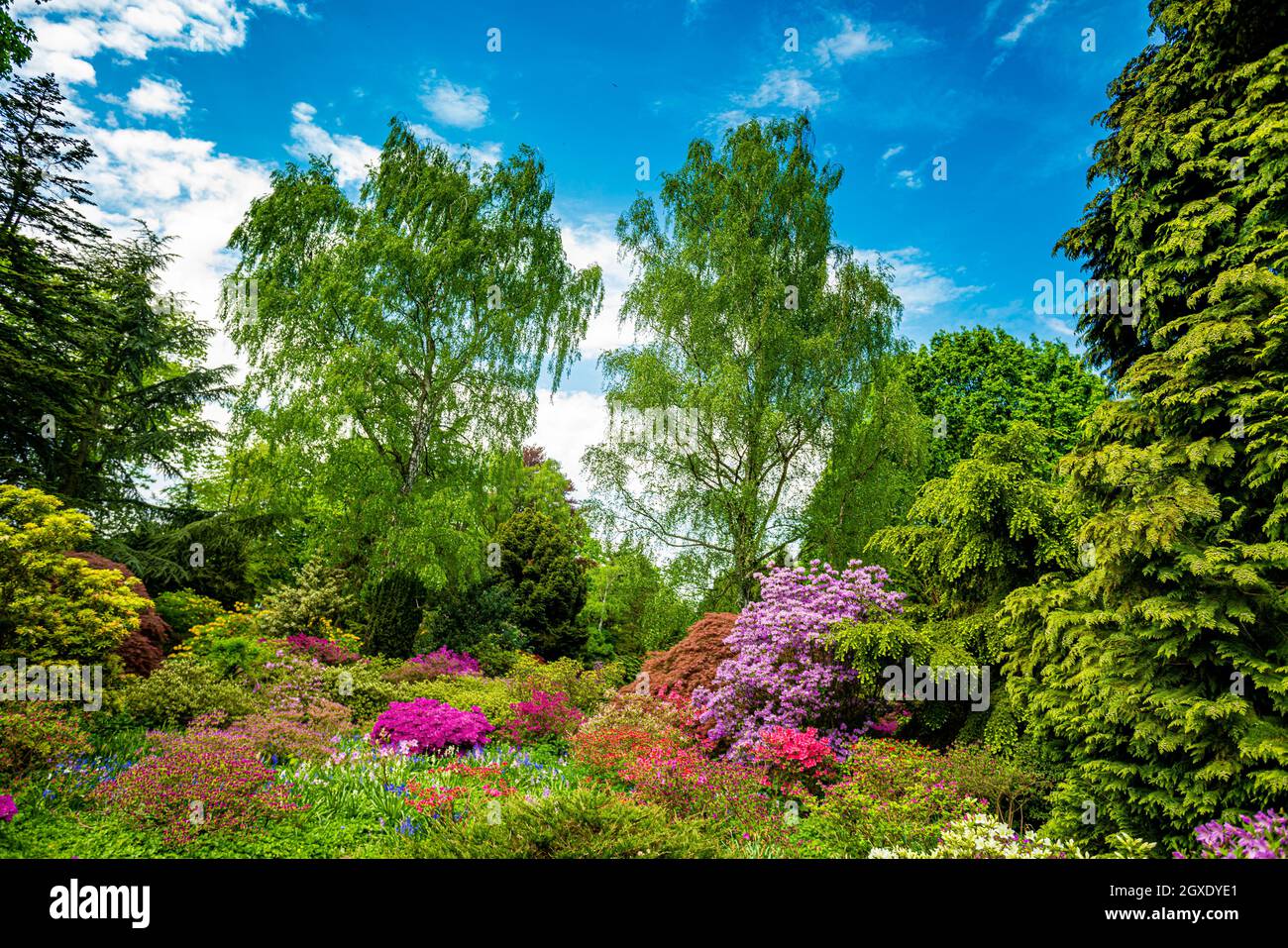 Beautiful Garden with blooming trees during spring time Stock Photo - Alamy