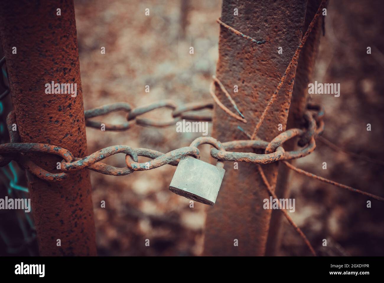 Old rusty castle on the rusty gate Stock Photo - Alamy