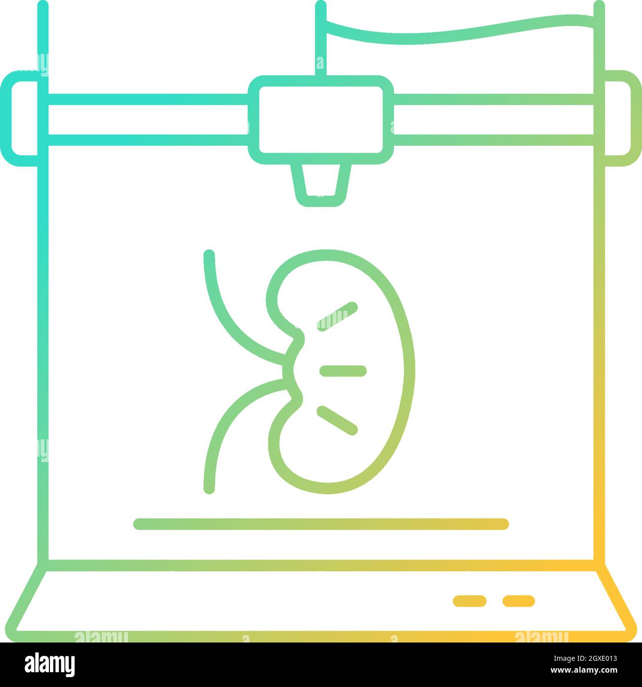 3d printed kidney gradient linear vector icon Stock Vector Image & Art - Alamy