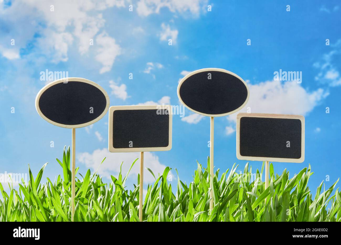 Blank placards hi-res stock photography and images - Alamy