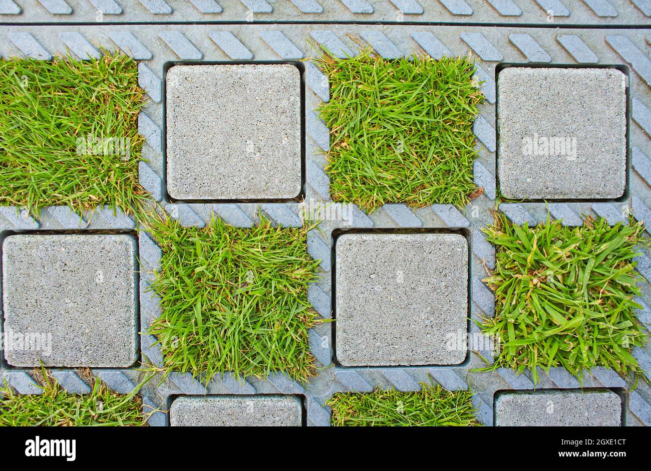 Sample of brick pavement with grass Stock Photo - Alamy