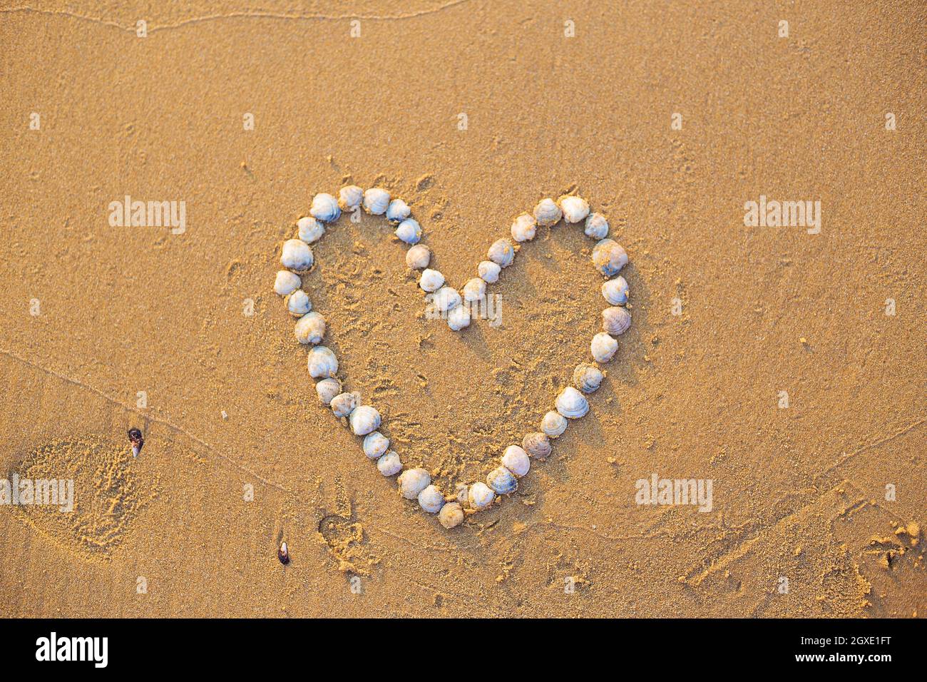 Decoration sea shells word hi-res stock photography and images - Alamy