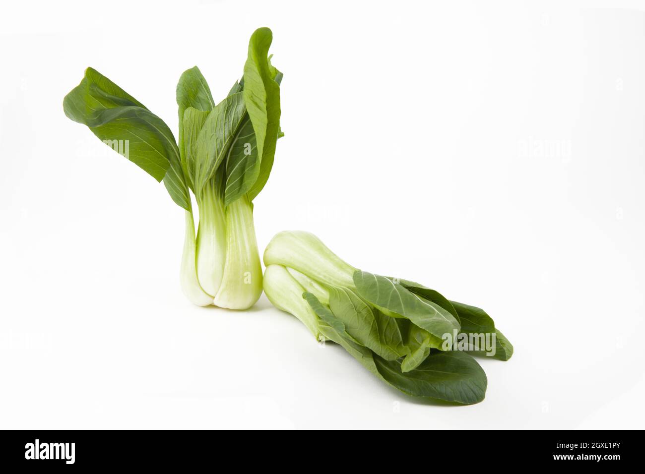 Young fresh Pak Choi Vegetables over white Background Stock Photo - Alamy